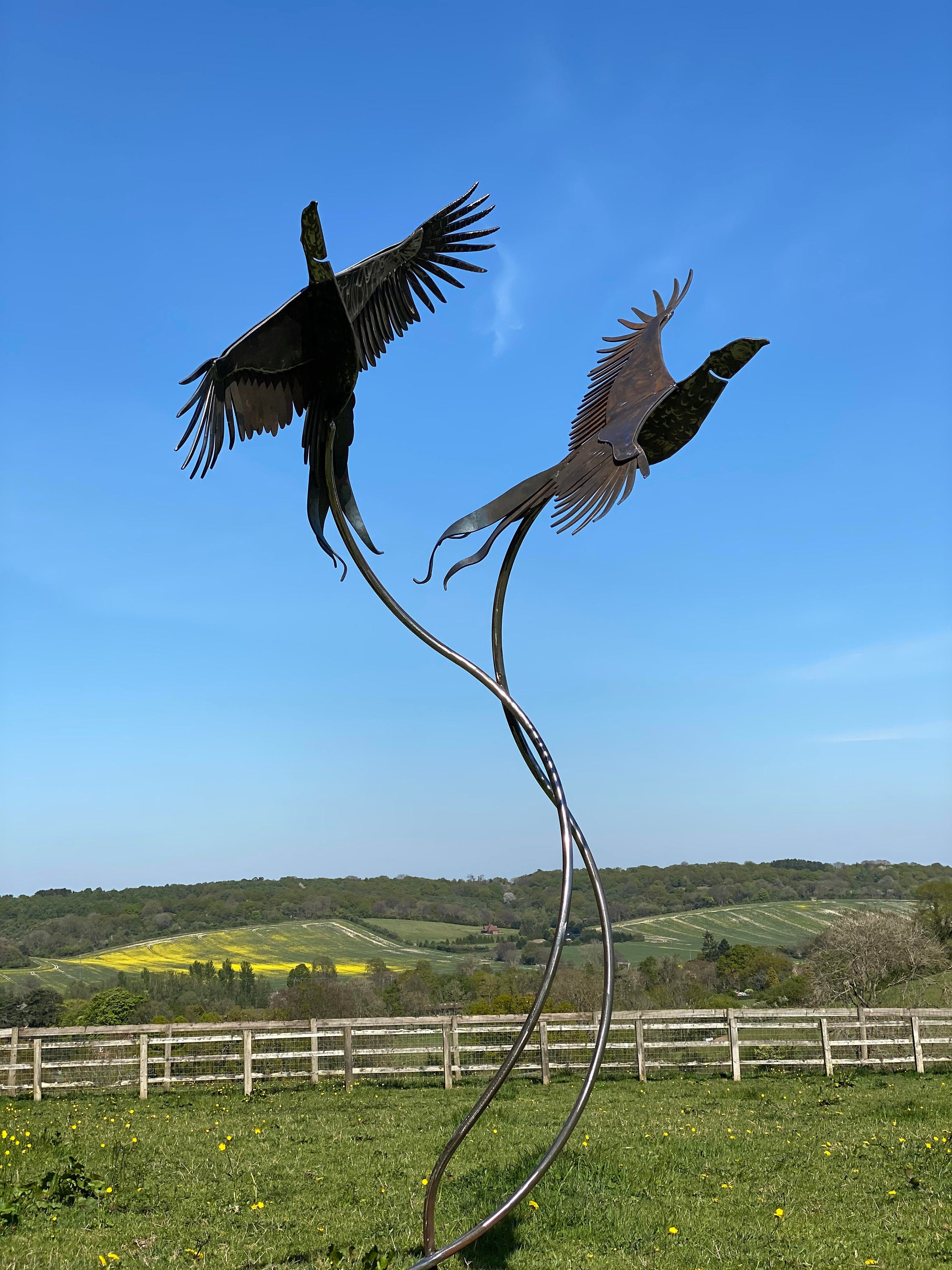 Life Size Large Metal Brace of Pheasants Modern Garden Sculpture Garden ...