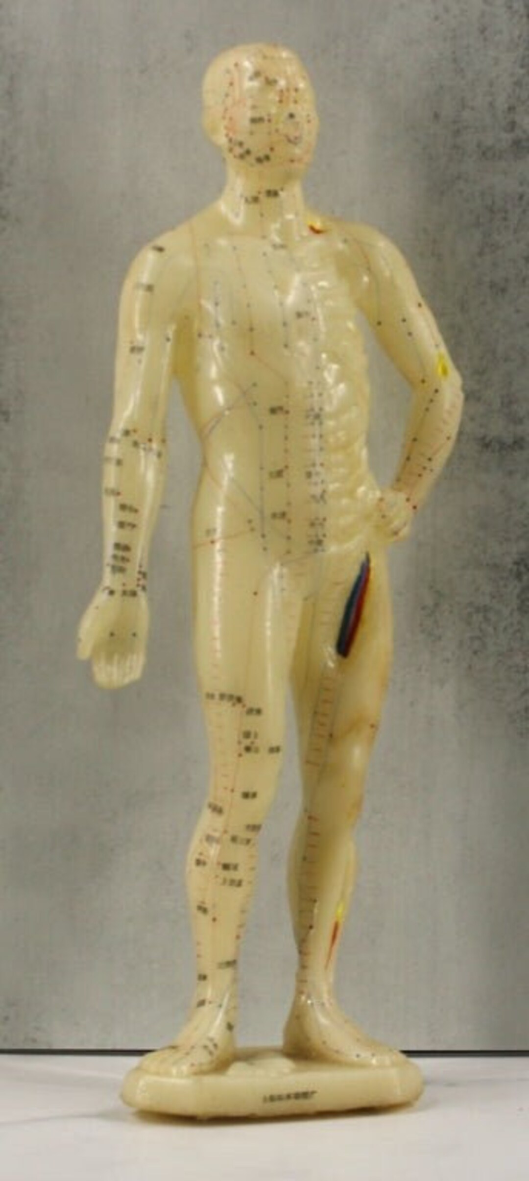 Vintage Acupuncture Point Model, Training Model, Acupuncture Map Guide ...