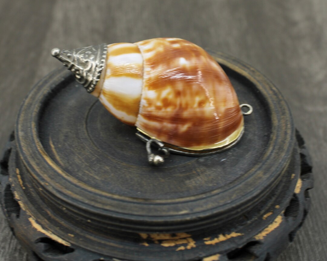 Mounted Shell Pendant Snuff Box - Etsy