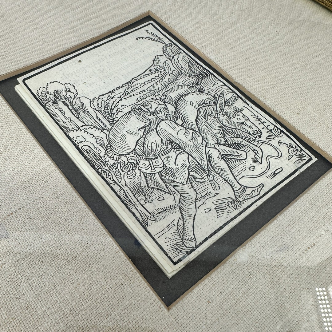 Albrecht Durer "ship of Fools" Woodcut, Book Page - Etsy
