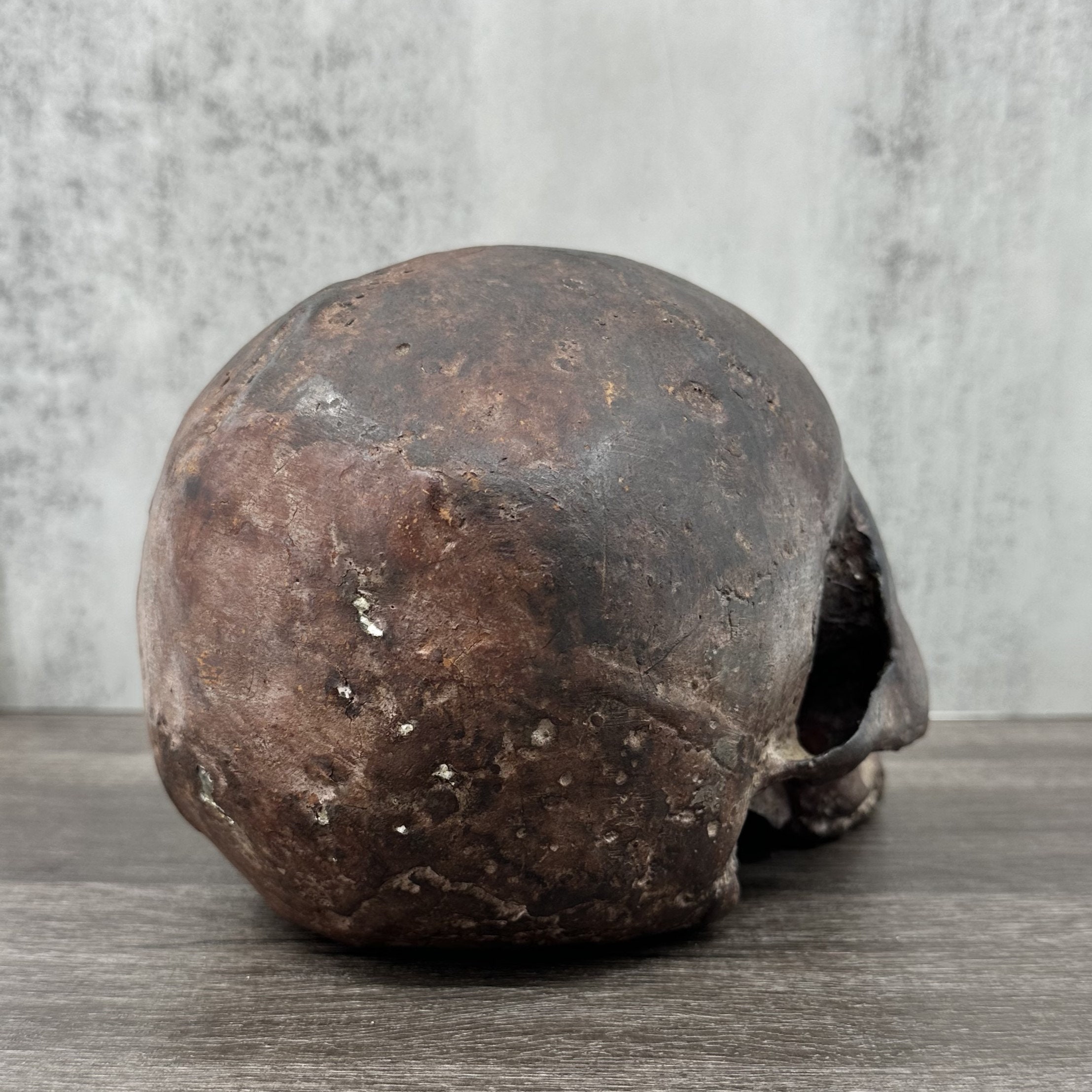 Cast Bronze Life Size Skull - Etsy
