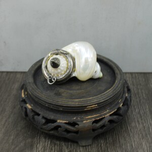 Mounted Shell Pill Box, Snuff Box - Etsy