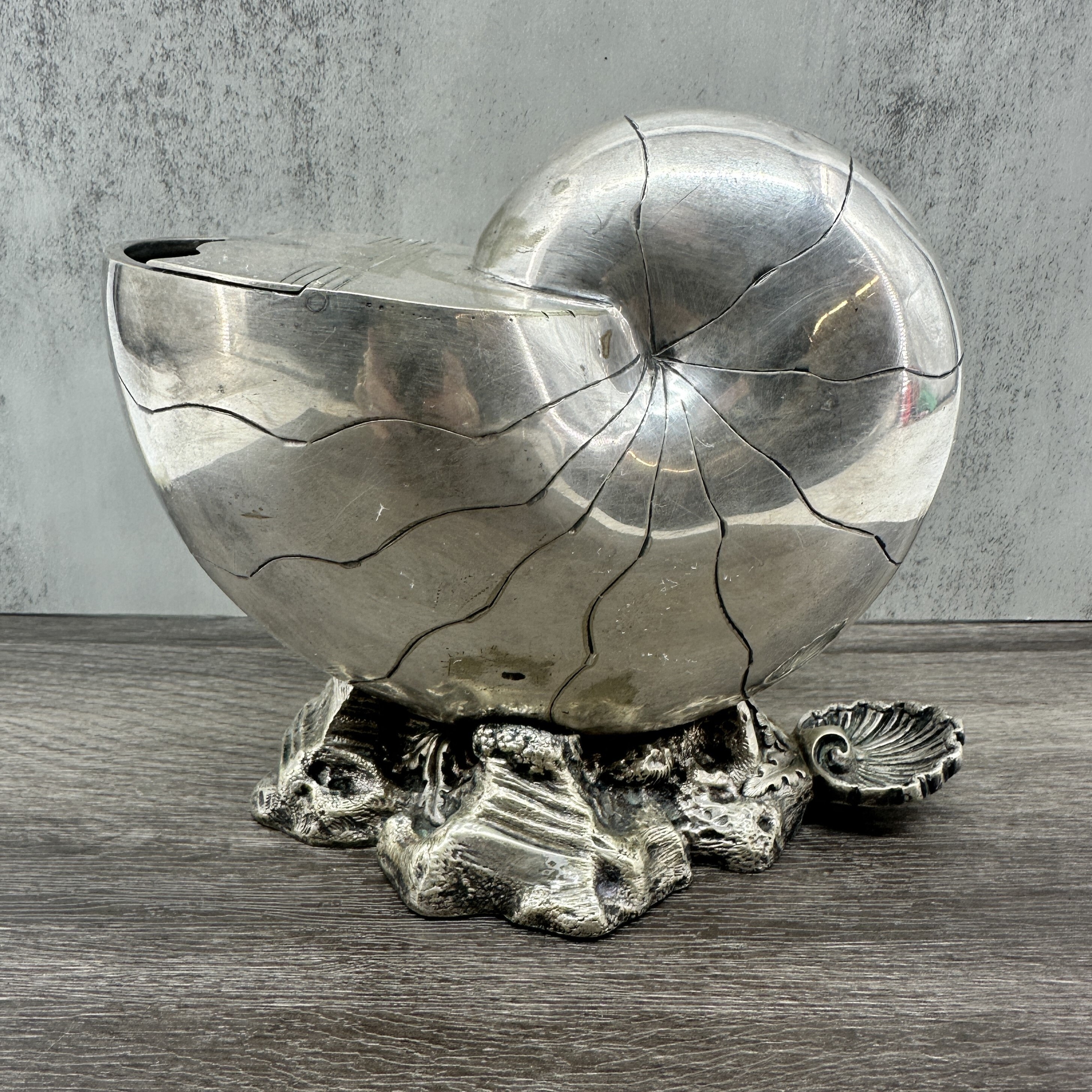 Nautilus Shell Spoon Warmer, Silver Plate, English - Etsy