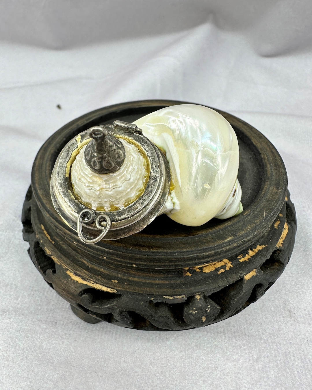 Mounted Shell Pill Box, Snuff Box - Etsy