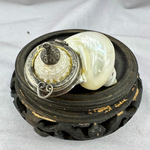 Mounted Shell Pill Box, Snuff Box - Etsy