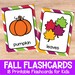 ESL Beginner Flashcards for Kids - Four Seasons Flashcards - Winter ...