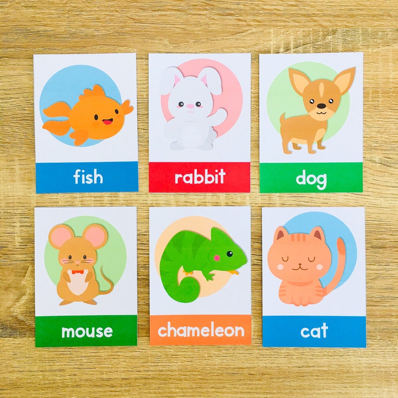 Pets Flashcards for Kids // Printable Animal Flashcards Great - Etsy UK