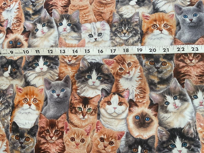 Elizabeth's Studio Adorable Pets - Kittens 100% Cotton Fabric by the ...
