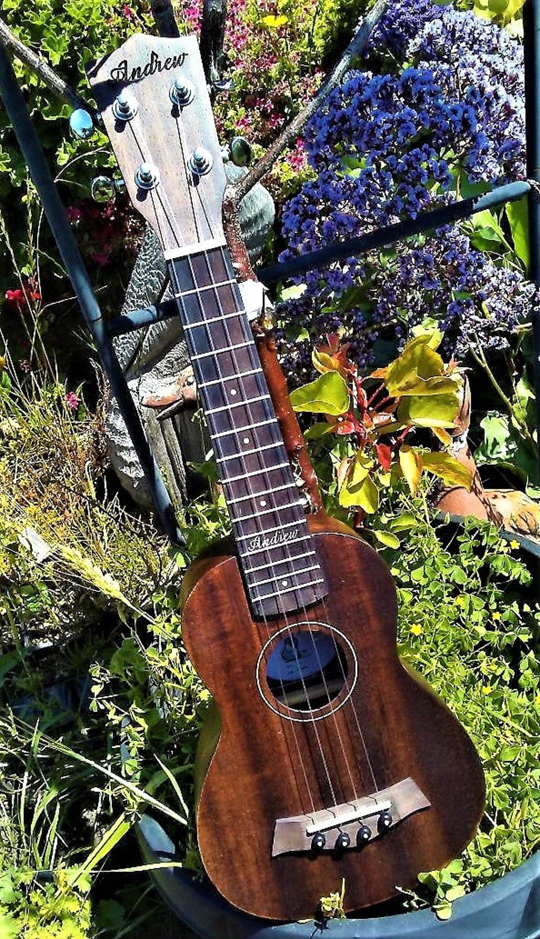 Andrew Ukulele With Gig Bag- Really Nice Quality Instrument ! - Etsy
