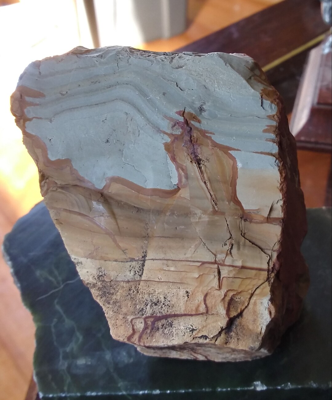 Wildhorse Picture Jasper Specimen Gem Quality - Etsy
