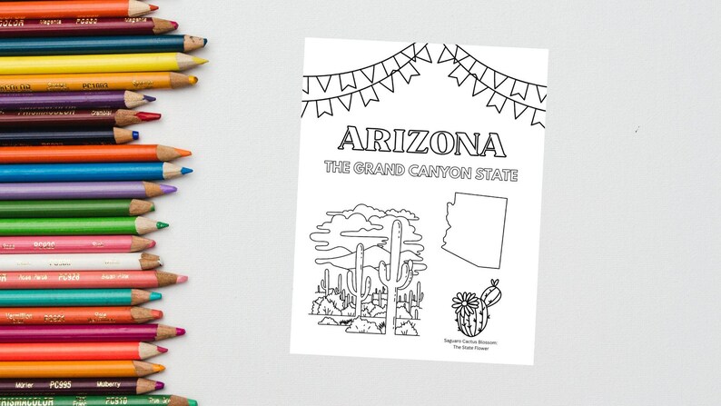 United States Coloring Pages for Kids | All 50 States | Elementary ...