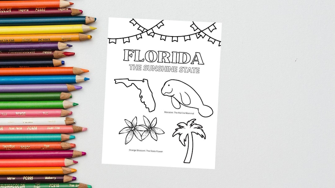 Florida Coloring Page | Elementary US Geography | Florida Geography ...