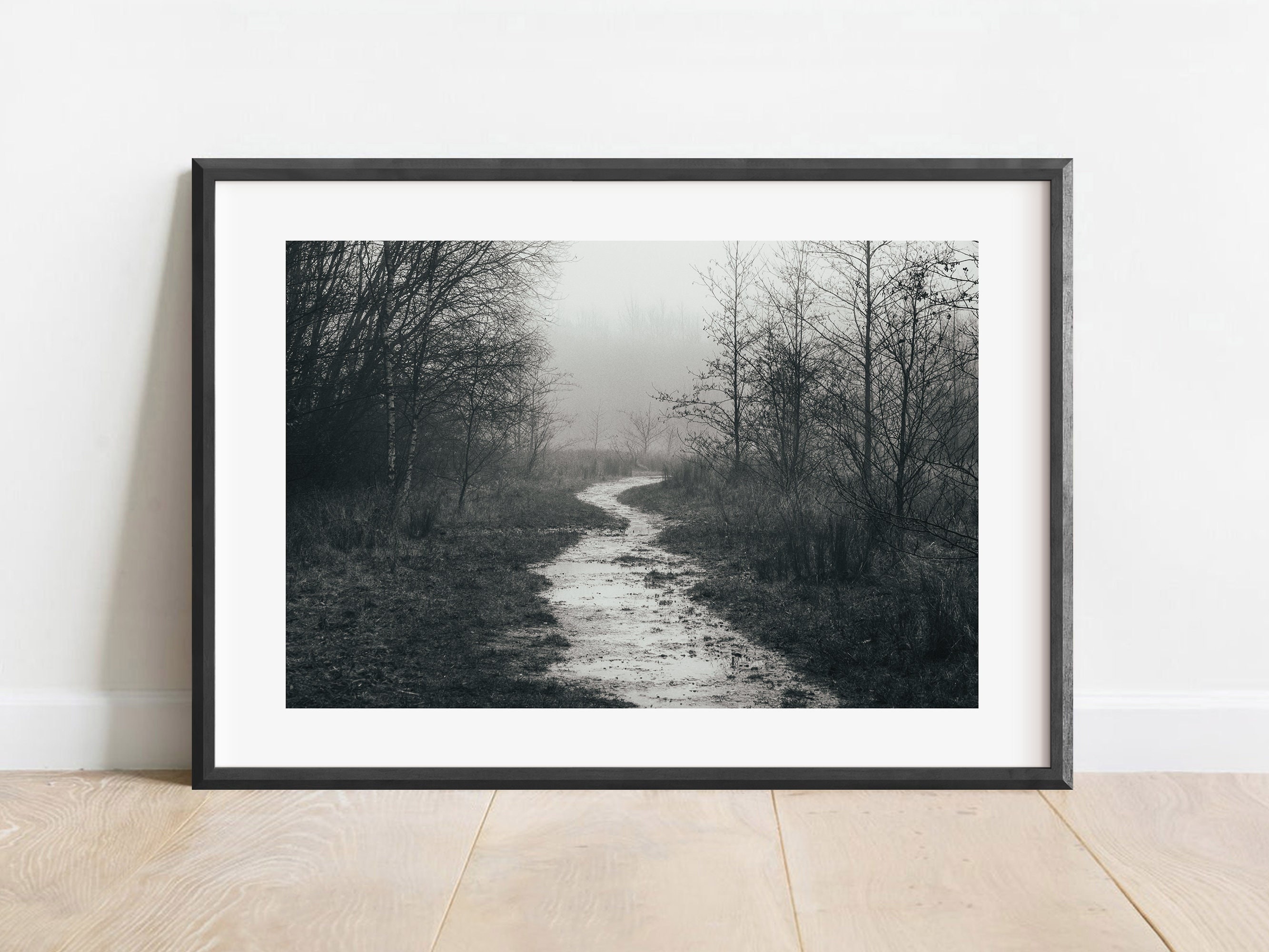 Winding Path Black And White