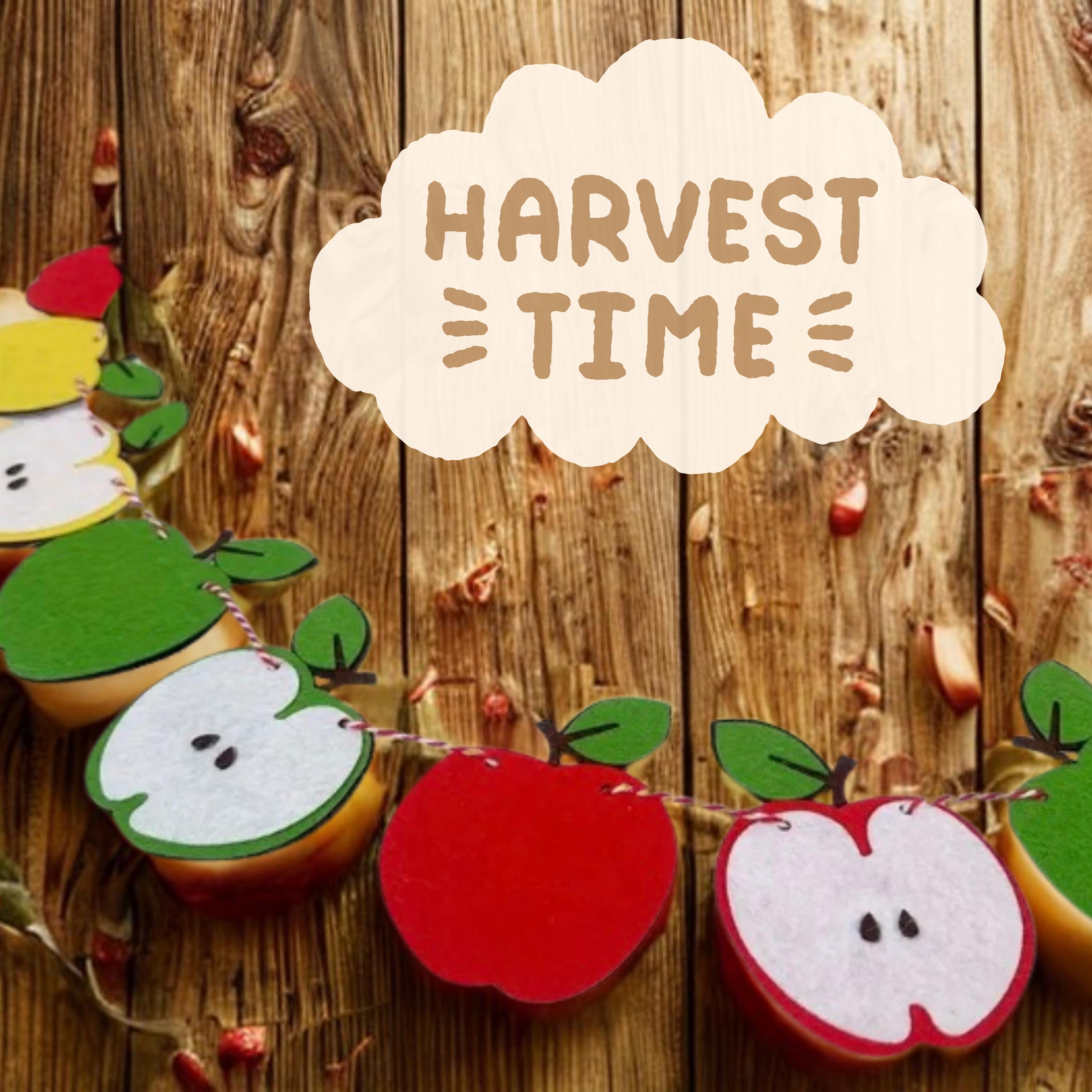 Felt Harvest Apples Banner, 48" Classroom Garland, Red, Green & Yellow ...