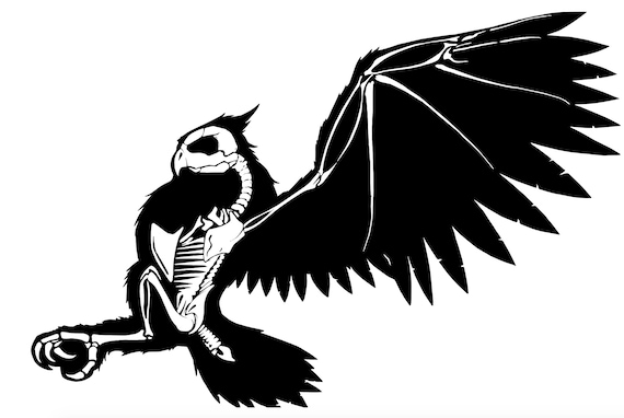 Owl Skeleton Illustration