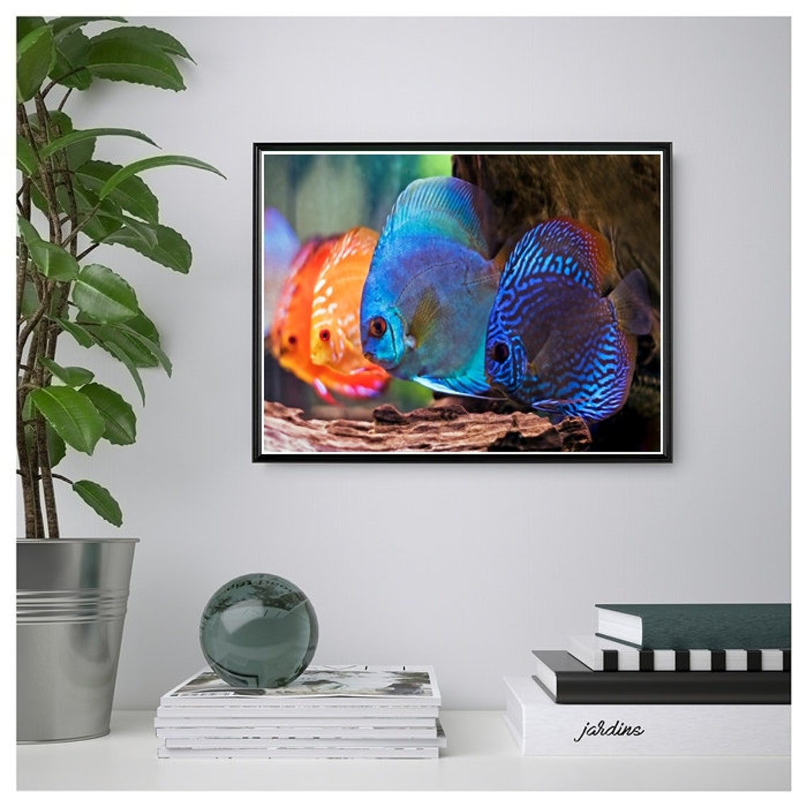 Discus Poster, Discus Wall Print, Tropical Fish Wall Print, Printable ...