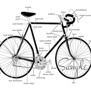 Cycle Diagram Poster/print, Racing Bike Wall Print, Printable Bike ...