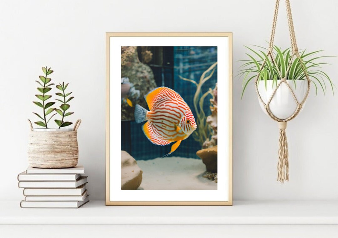 Discus Fish Poster/print, Tropical Fish Wall Print, Printable Wall Art ...