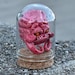 Chewed Bubble Gum Monster Which Resembles Krang - Etsy