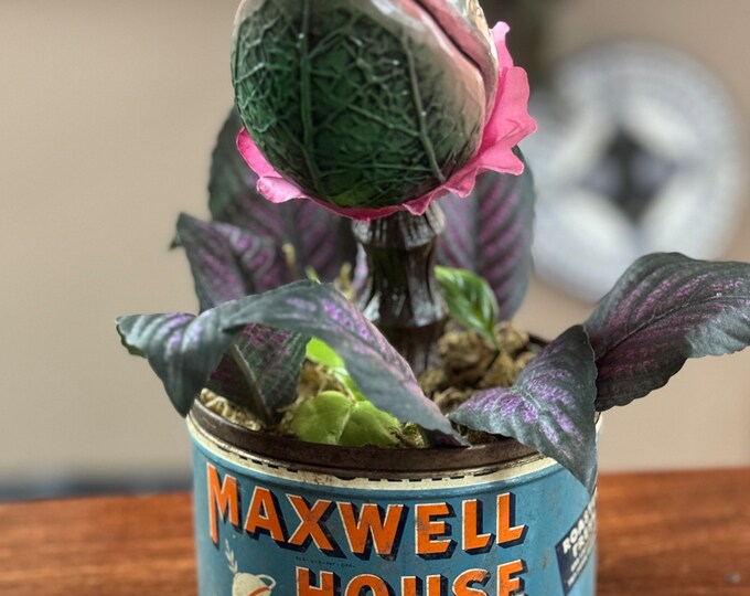 Baby Audrey 2 - Etsy