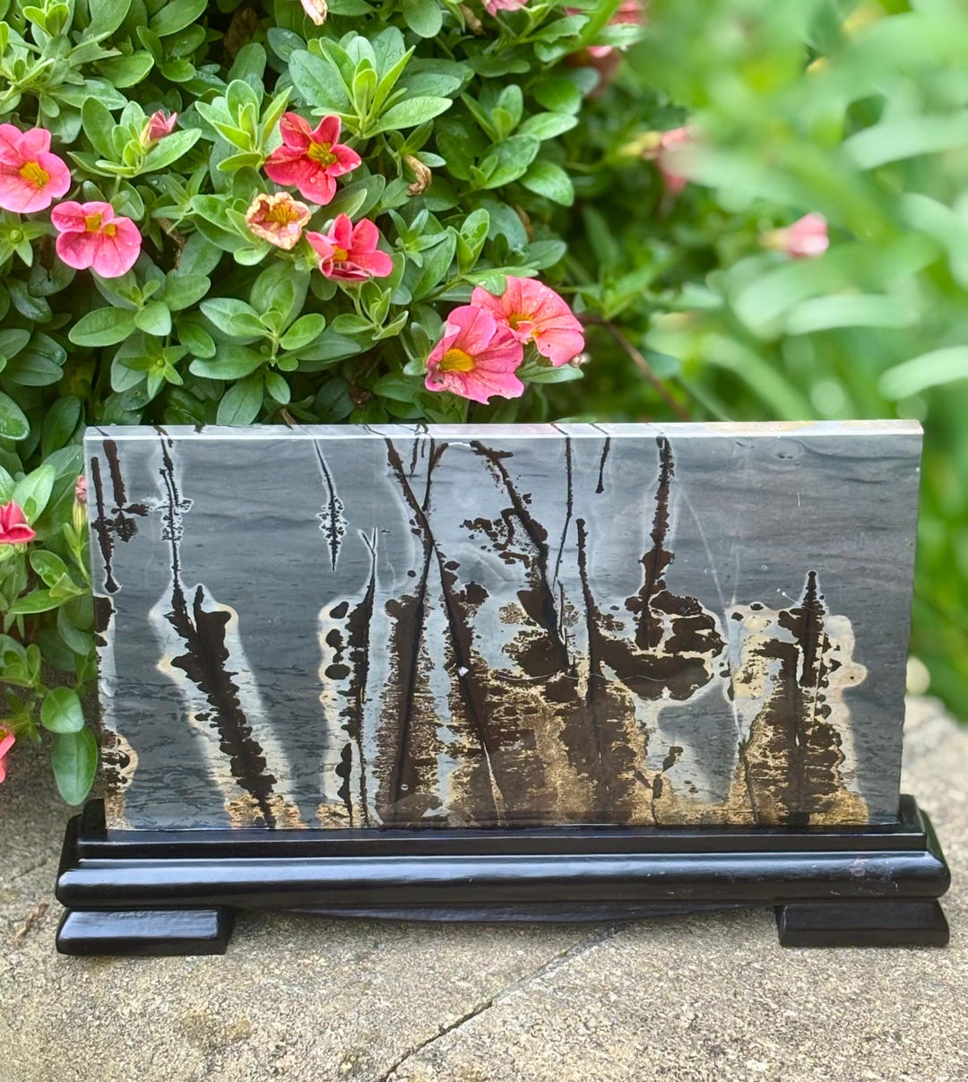 Picture Jasper Slab With Stand 8.75”w>strong Connection to the Earth - Etsy
