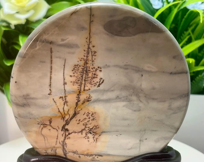 Round Picture Jasper Slab With Stand 3.54”w>strong Connection to the ...