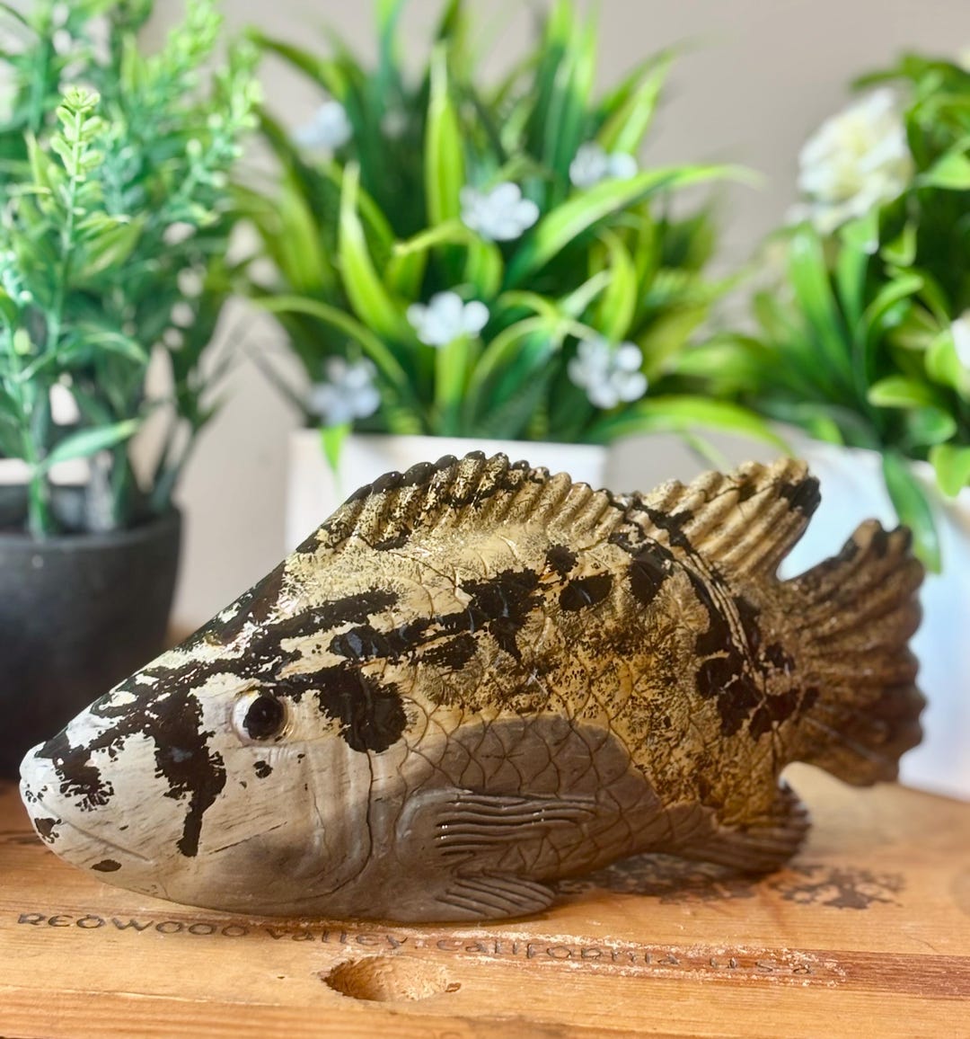 Picture Jasper Fish Carving 7” ~ Earth Connection - Etsy