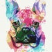 Colorful French Bulldog Paint by Number Puppy Kit for Adults Animals ...