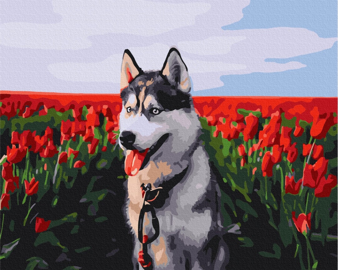 Husky Paint by Number Puppy Kit for Adults Animals Diy Painting Kit ...