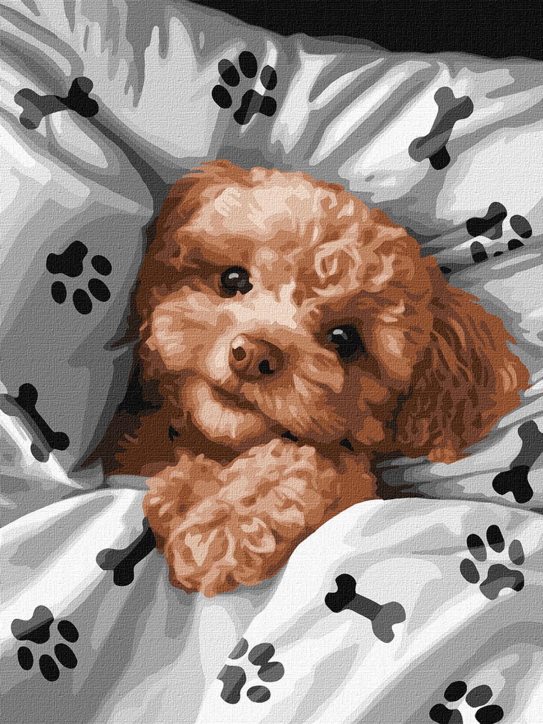Cute Maltipoo in Bed Paint by Number - Etsy