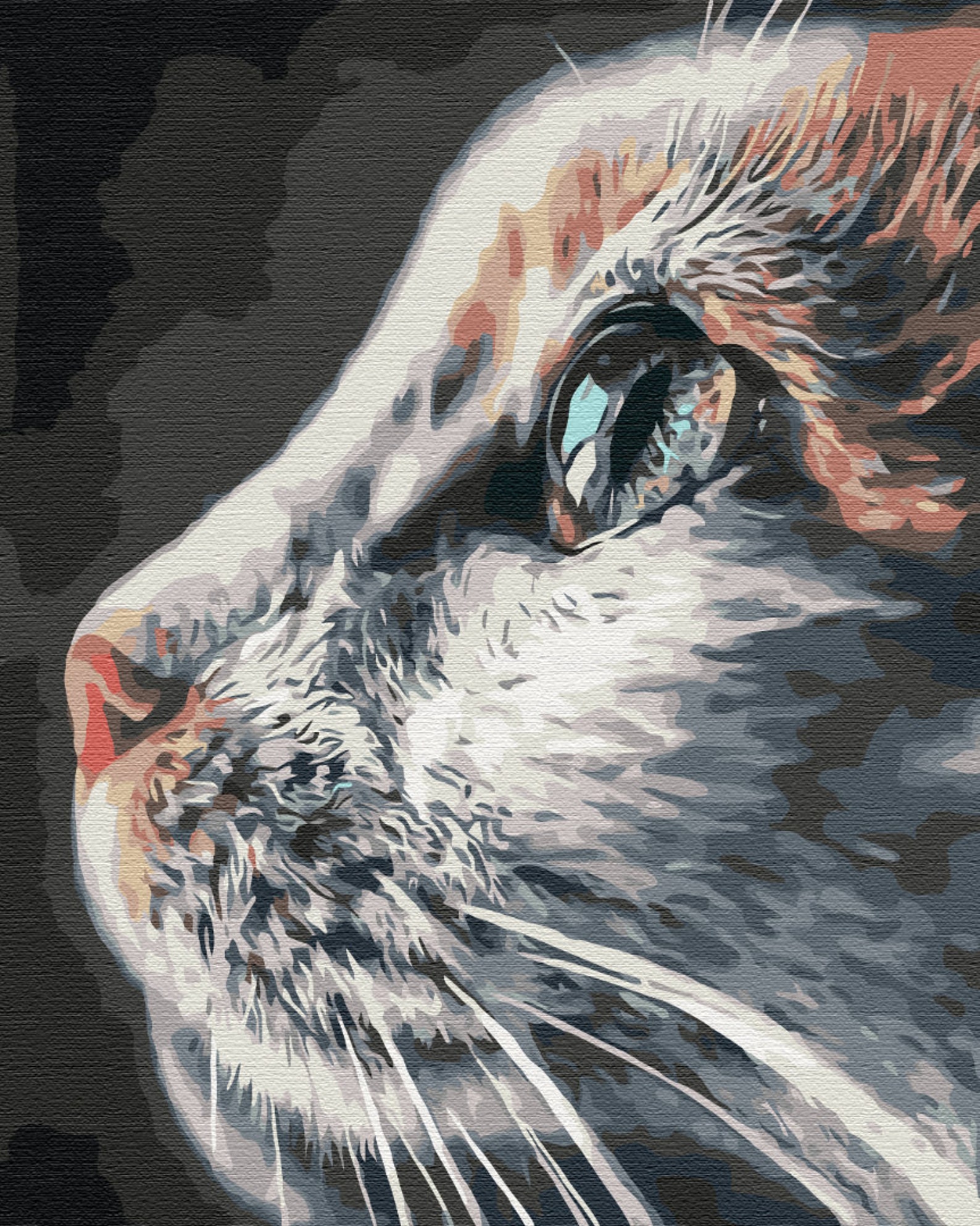 Cute Cat Paint by Number Kit Diy Painting Kit Animals Painting on ...