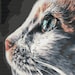 Cute Cat Paint by Number Kit Diy Painting Kit Animals Painting on ...