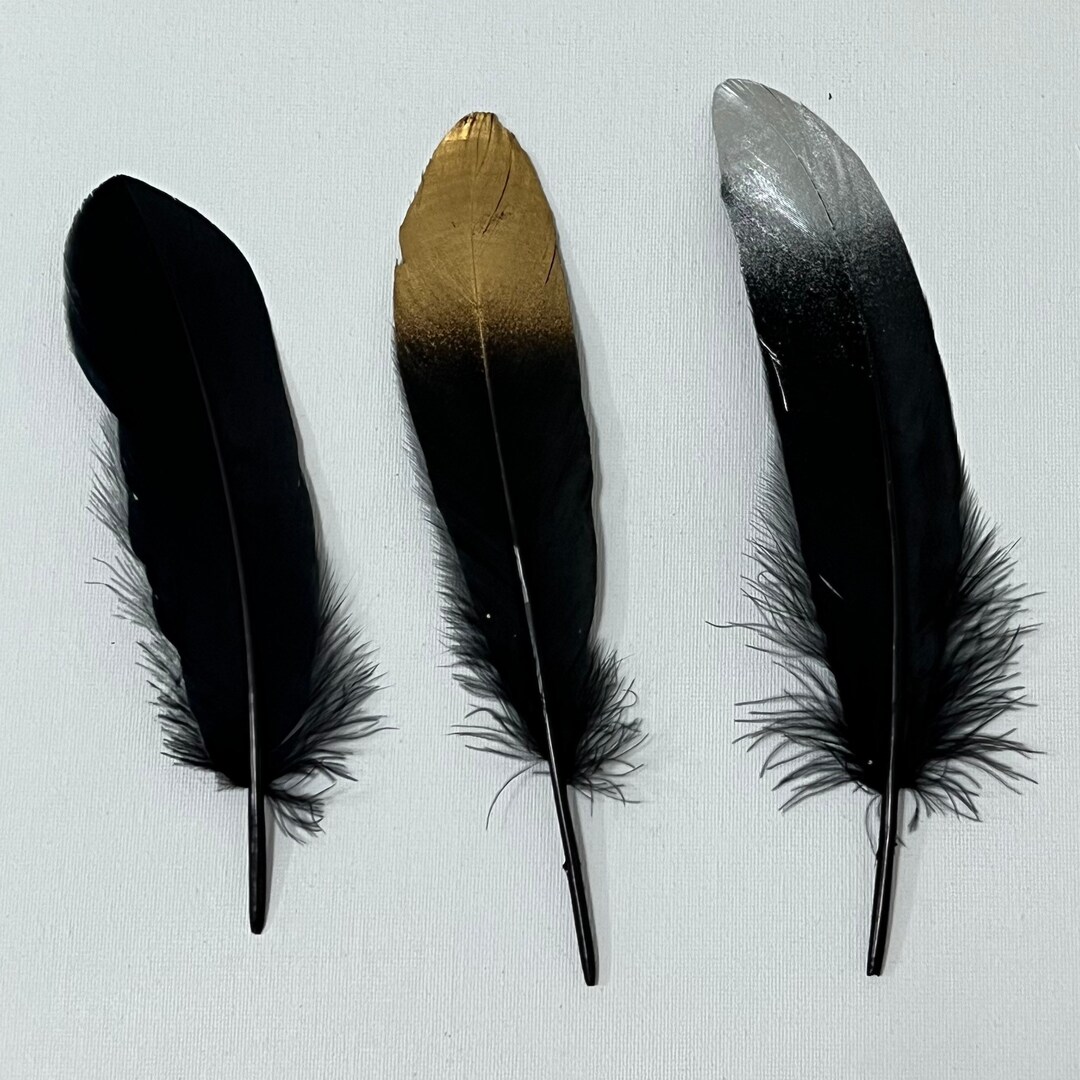 Hat Feathers, Feather for Hat, Feathers for Fedora, Hat Trim - Etsy