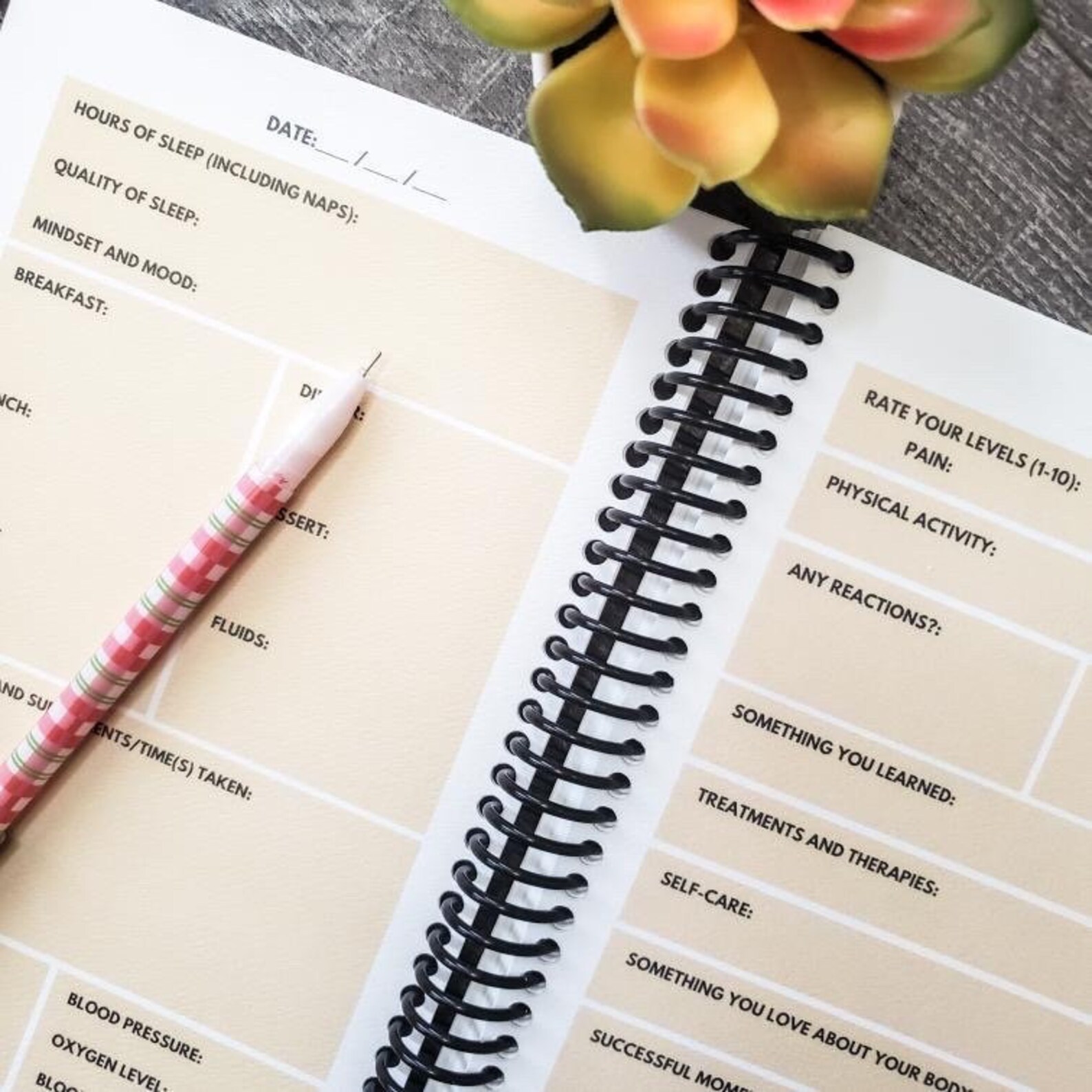 Begin Within A Daily Healing Journal for Chronic Illness and - Etsy