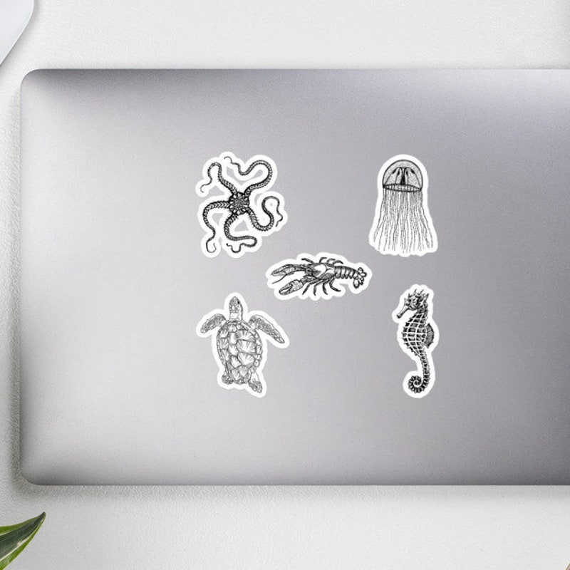 Marine Life Decal - Etsy