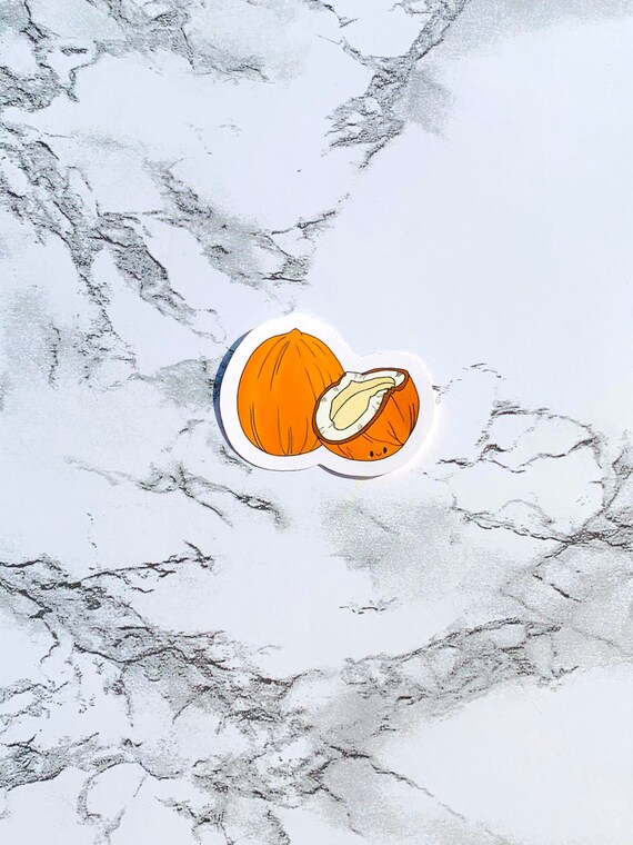 Mini Coconut Sticker WEATHERPROOF Cute Fruit Stationary | Etsy