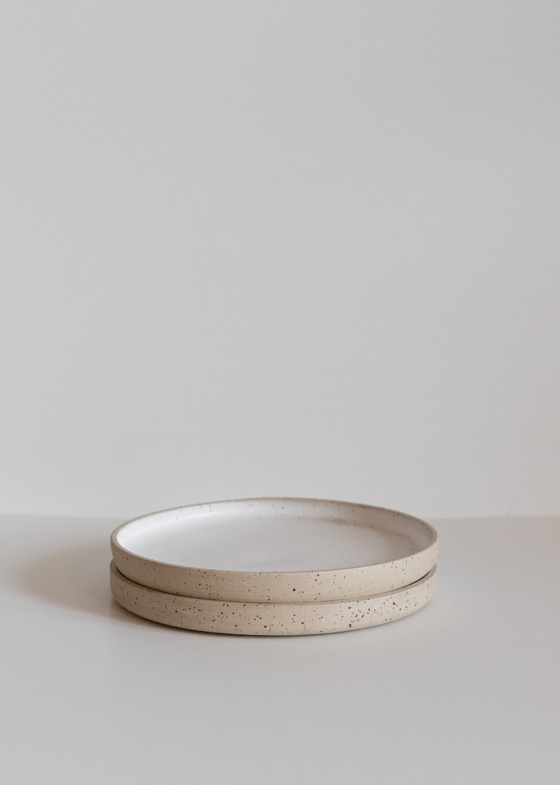 IN STOCK Minimal Ceramic Plates With a Rim Speckled Plates - Etsy