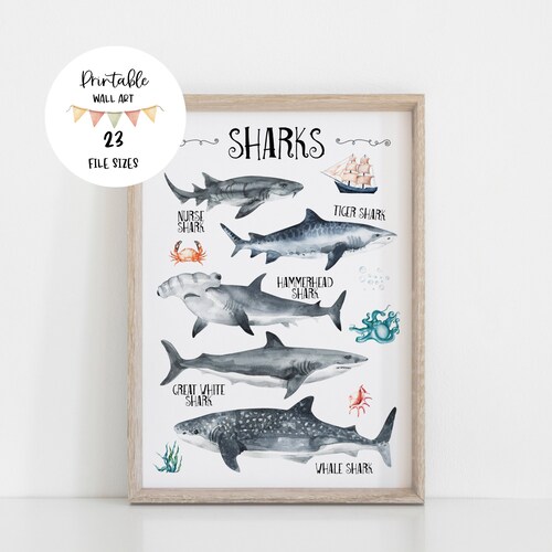 Shark Warning Sign Nautical Nursery Decor Beach Closed Sign | Etsy