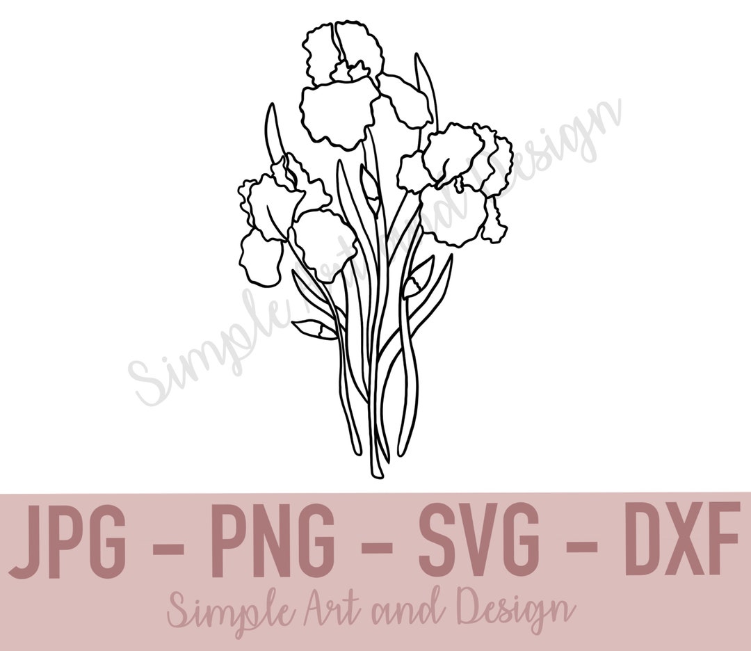 Iris | SVG | JPG | PNG | Dxf | Iris Svg | Flower Svg | Digital Download ...