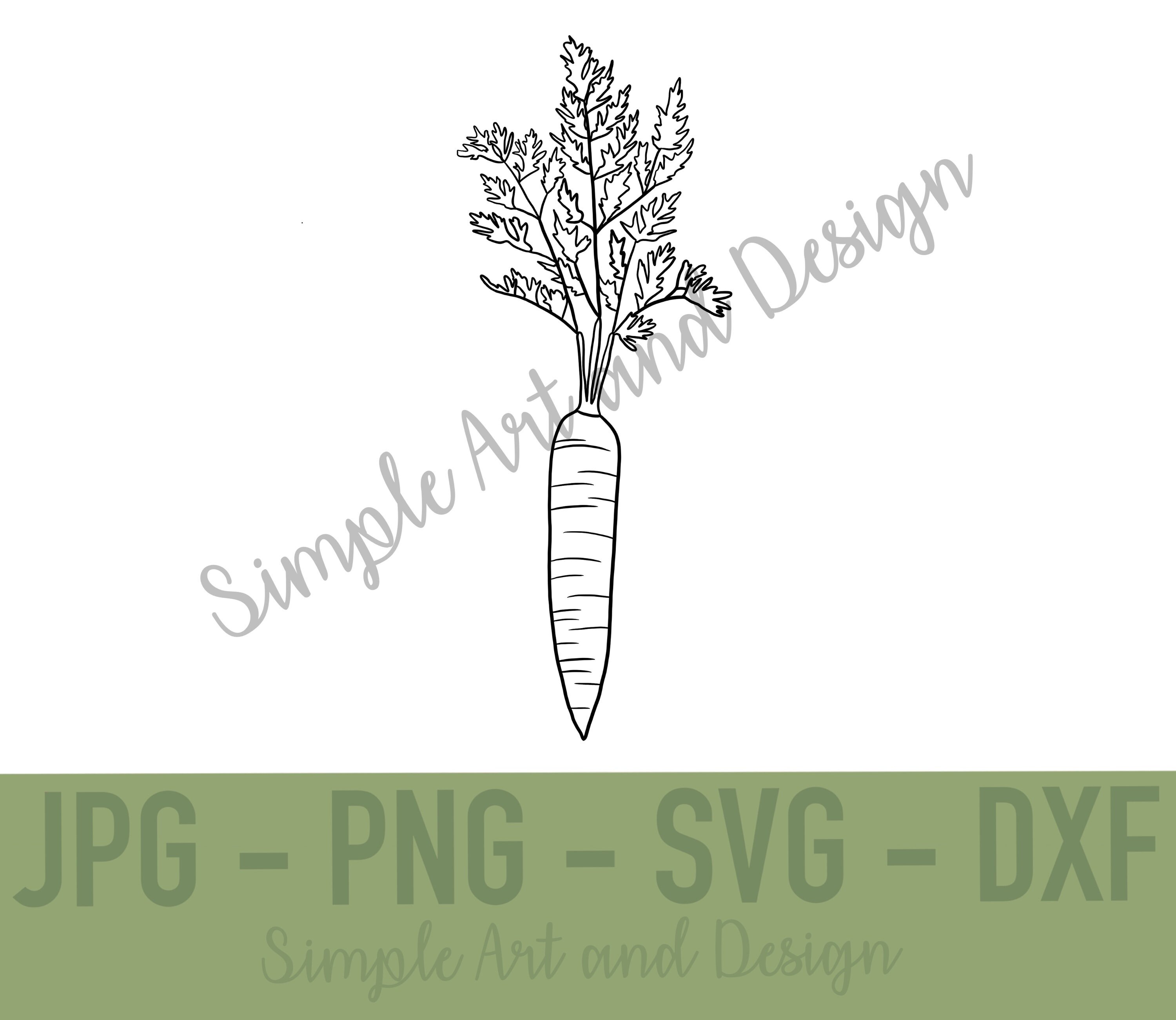 Carrot 1 | SVG | PNG | JPG | Dxf | Carrot Svg | Farming Design | Carrot ...