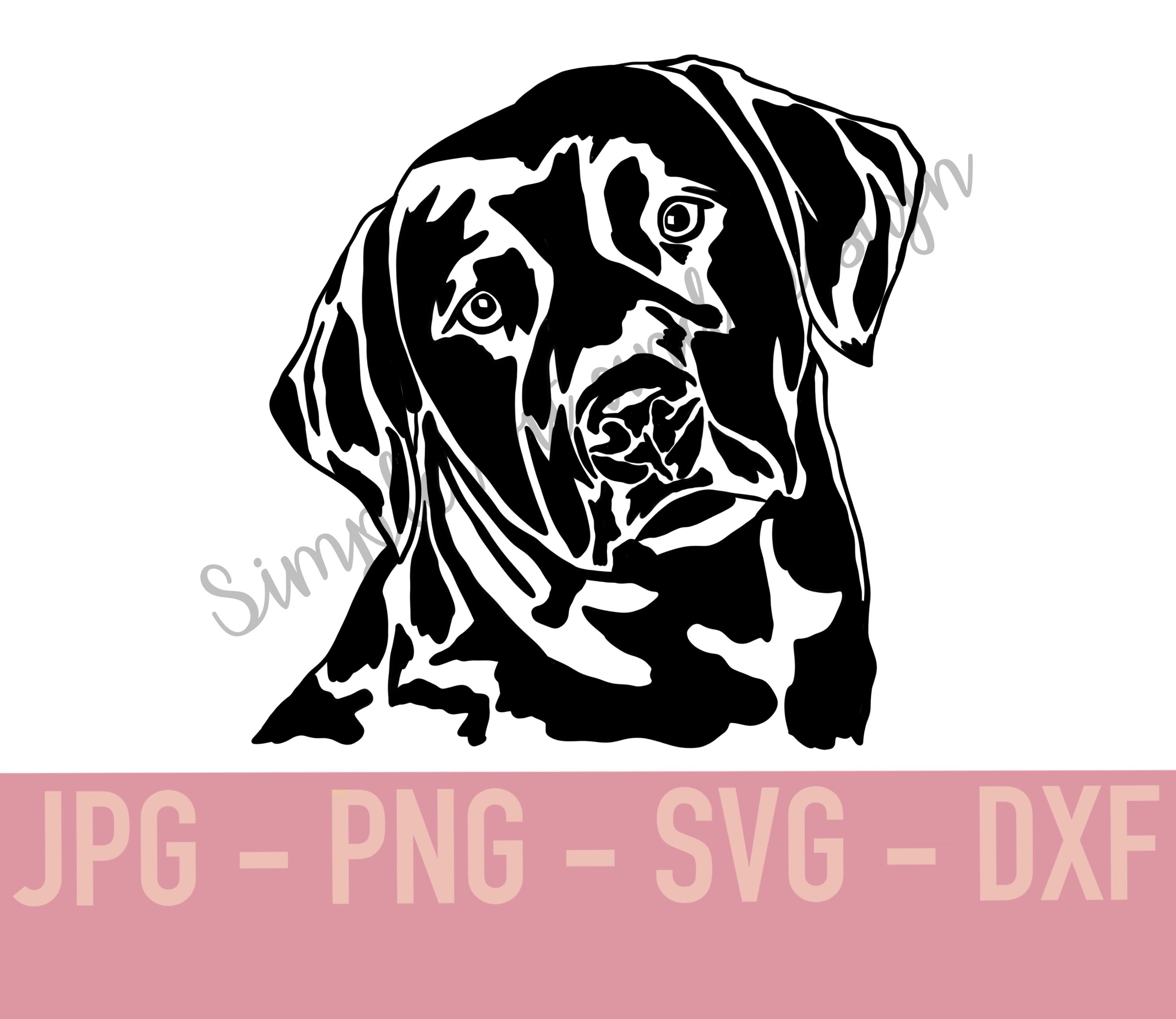 Lab Portrait | SVG | PNG | JPG | Dxf | Dog Silhouette | Dog Portrait ...