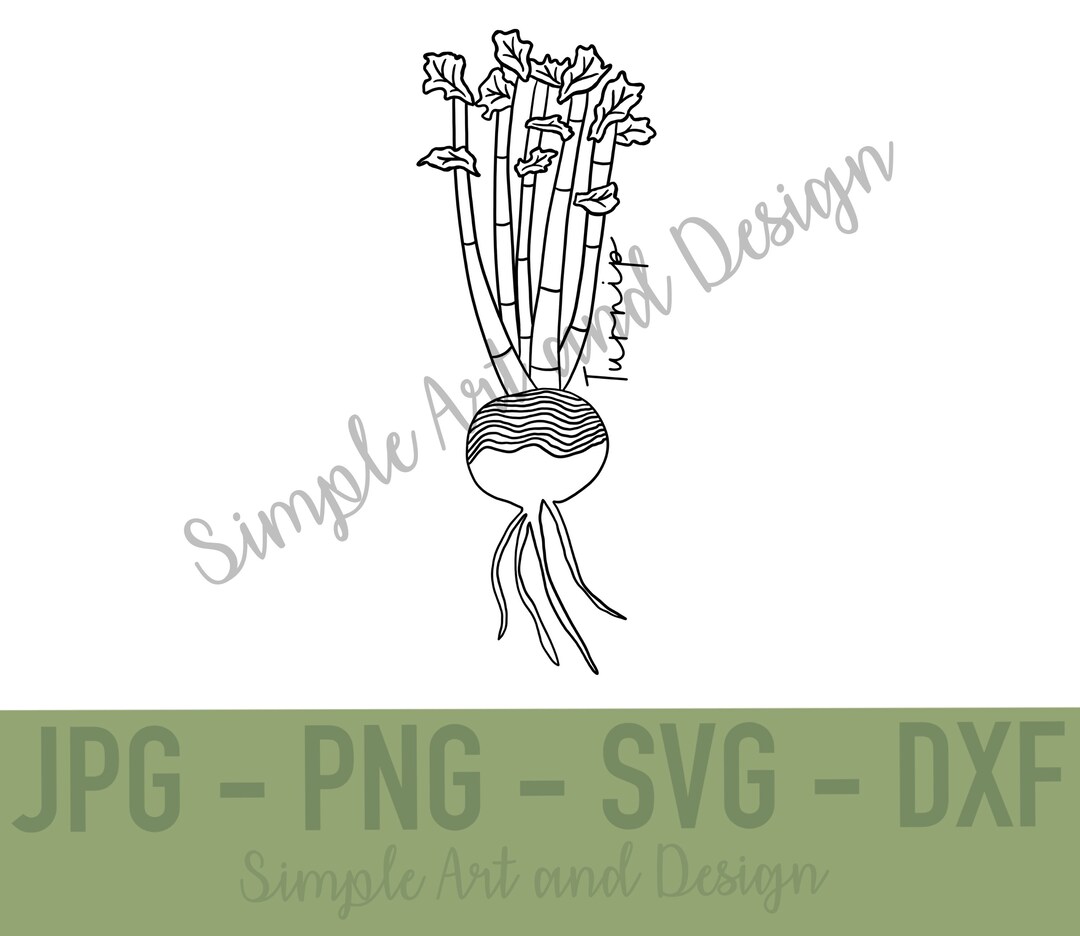 Turnip | SVG | PNG | JPG | Dxf | Turnip Svg | Farming Design | Instand ...