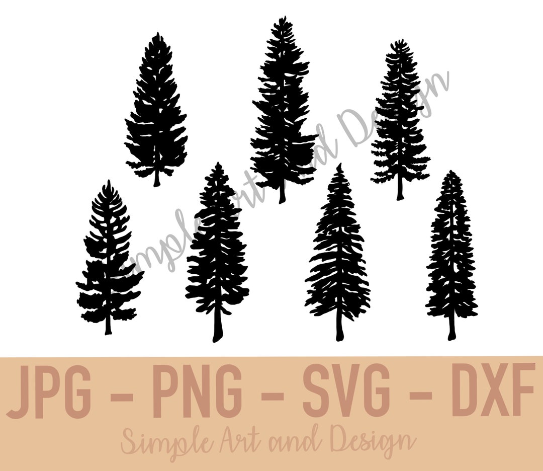 Evergreen Trees Pack of 7 Trees | PNG | JPG | SVG | Dxf | Pines ...