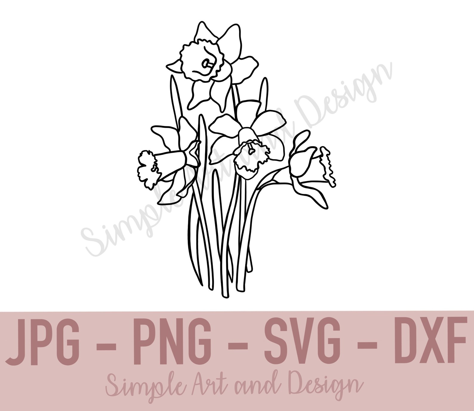 Daffodil | SVG | JPG | PNG | Dxf | Daffodil Svg | Flower Svg | Digital ...