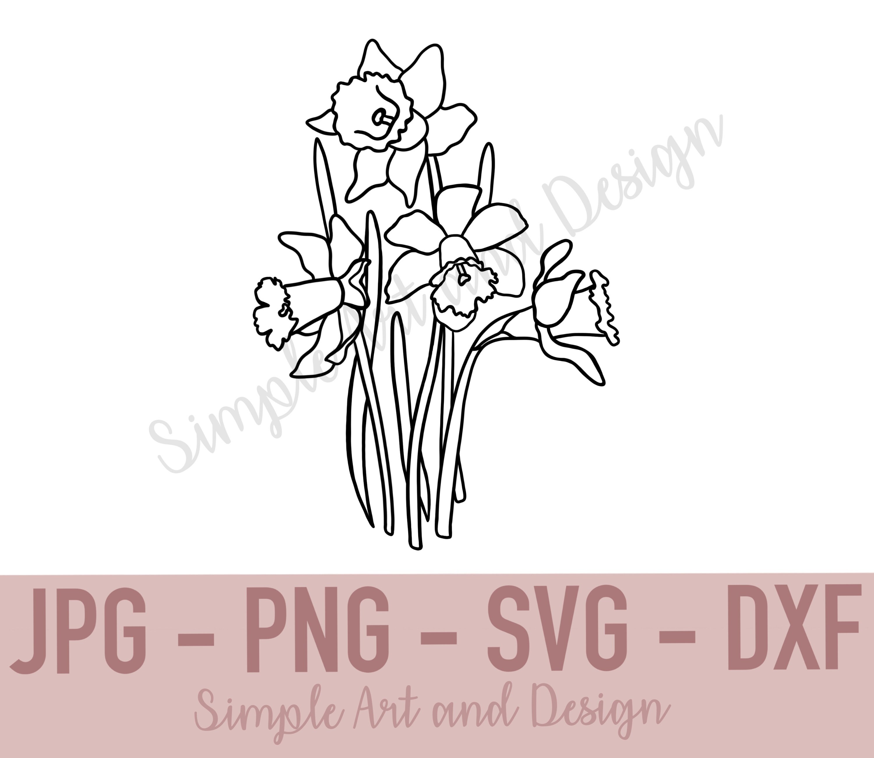 Daffodil | SVG | JPG | PNG | Dxf | Daffodil Svg | Flower Svg | Digital ...