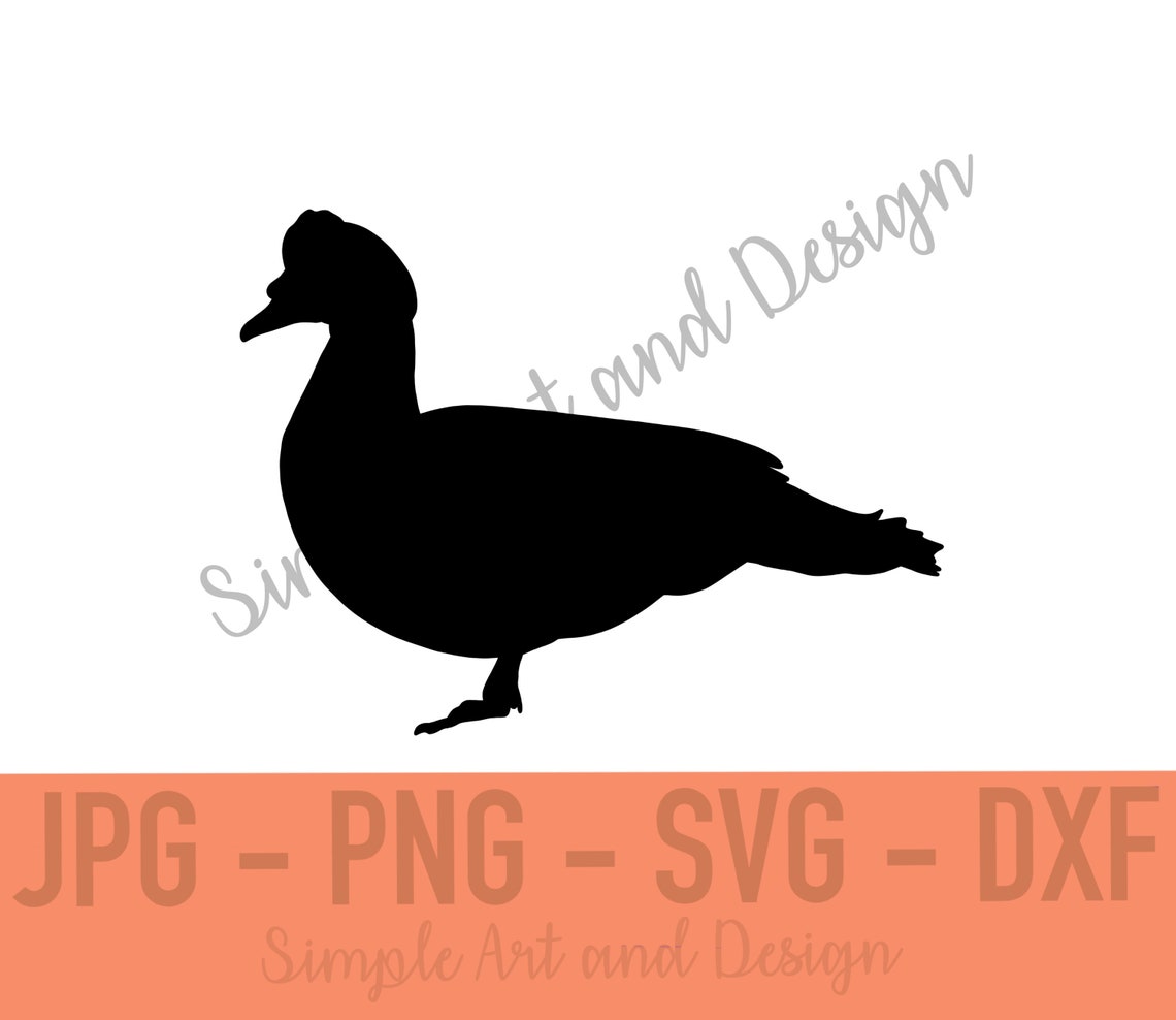 Muscovy Duck | SVG | PNG | DXF | Duck Svg | Farm Cut File | Bird Svg ...