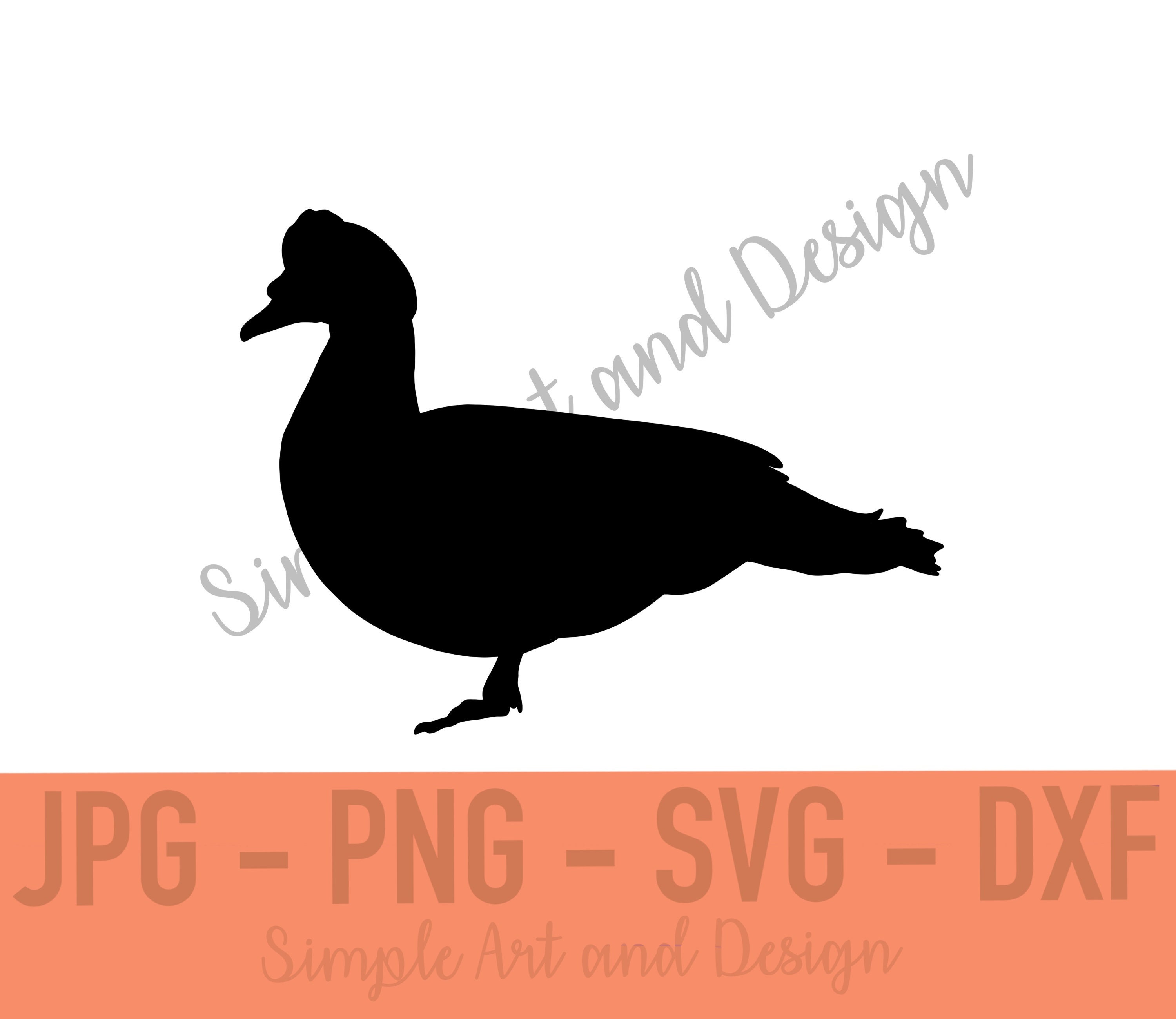 Muscovy Duck | SVG | PNG | DXF | Duck Svg | Farm Cut File | Bird Svg ...