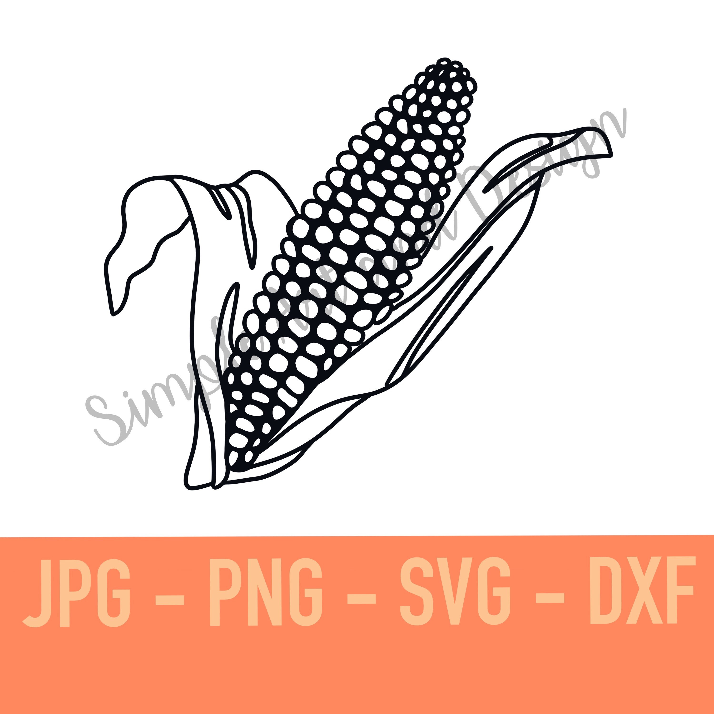 Corn Cob 2 SVG cut file PNG DXF Jpg fall designs | Etsy