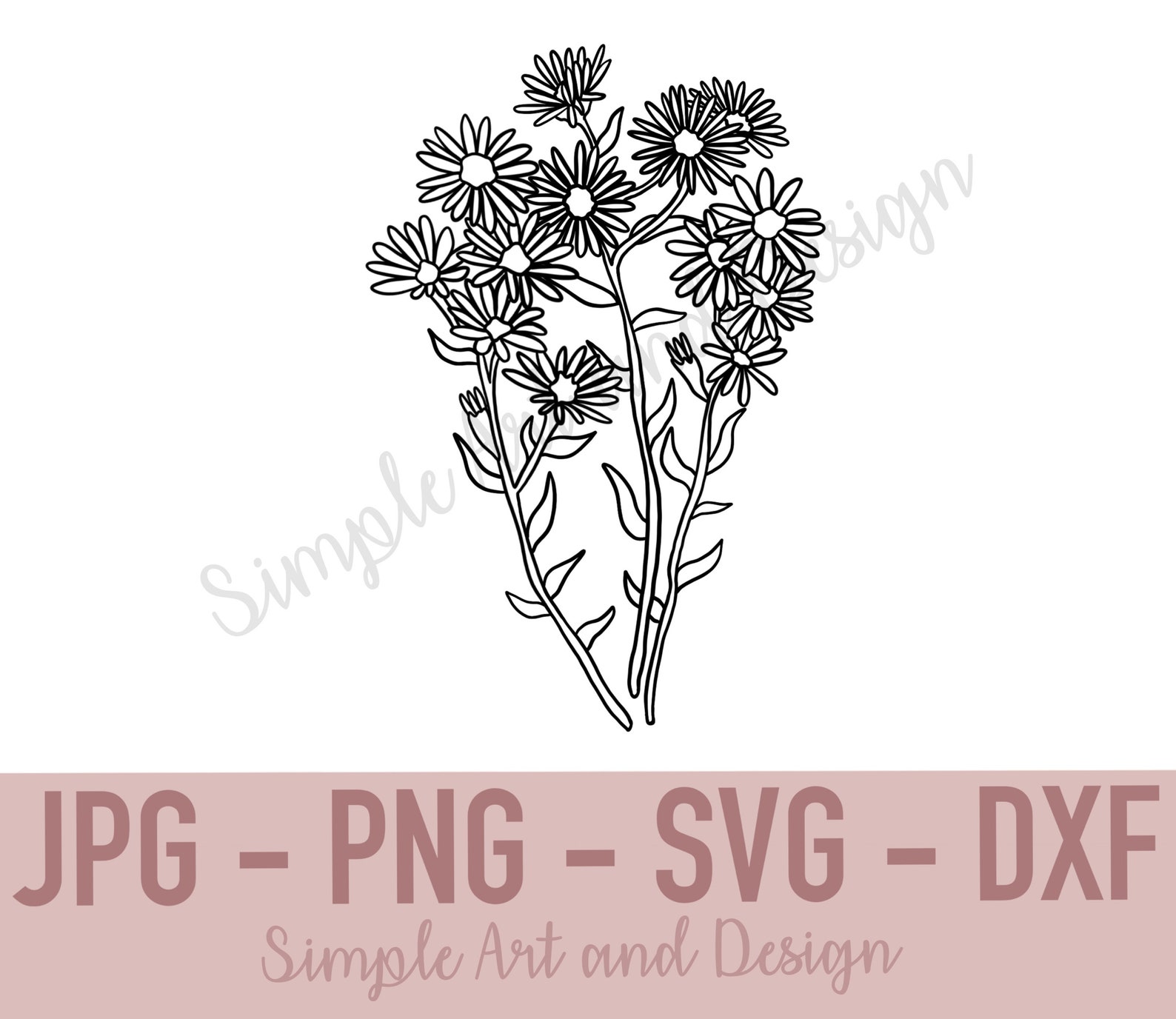 Aster | SVG | JPG | PNG | Dxf | Aster Svg | Flower Svg | Digital ...