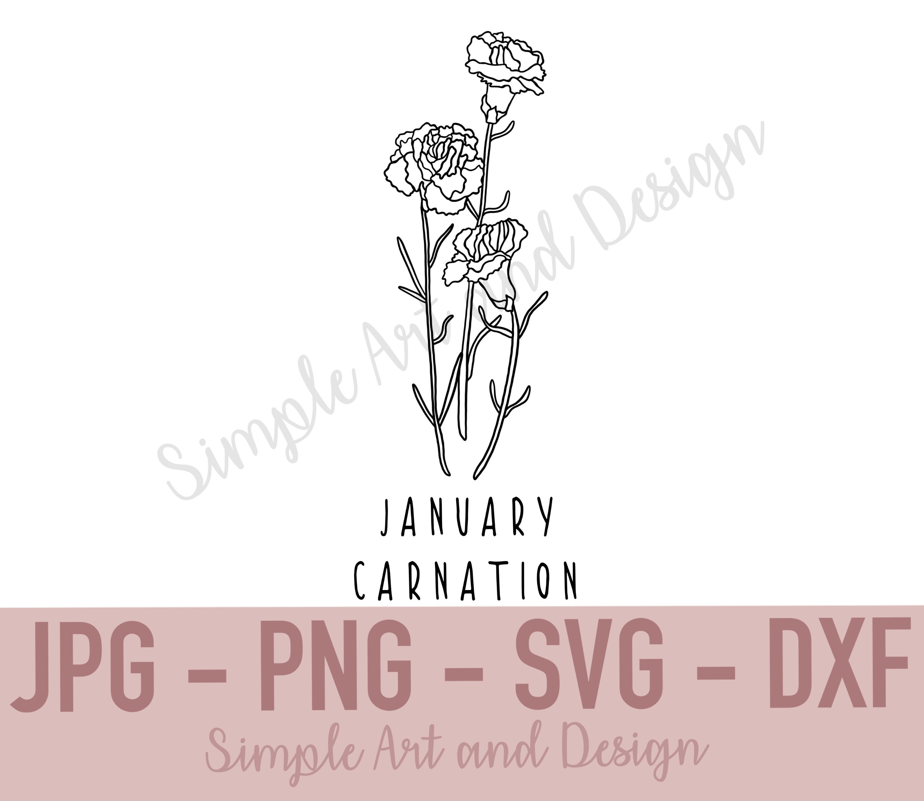 January Carnation | JPG | SVG | PNG | Dxf | January Birth Flower ...